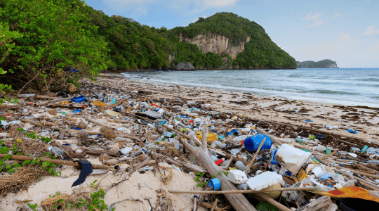 Cell Captives: A Powerful Tool to Manage Risk | Hylant